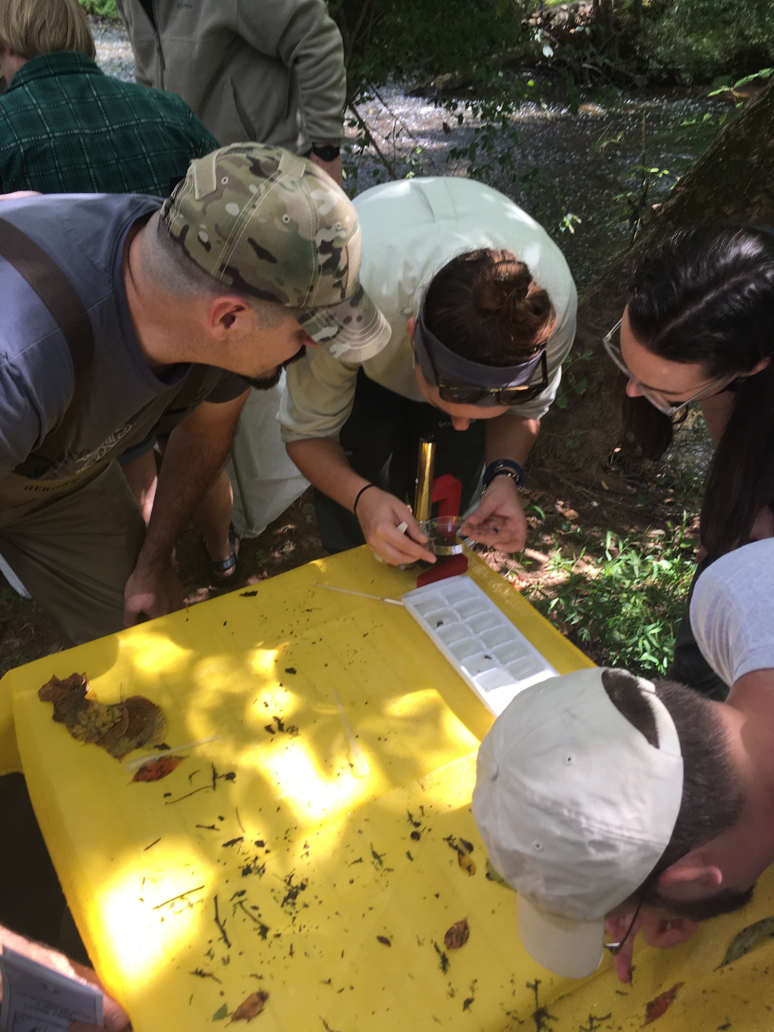 VA SOS Research – Virginia Save Our Streams